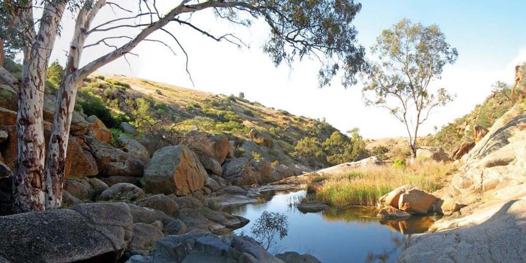 Harbour Mannum – Accommodation in Mannum South Australia